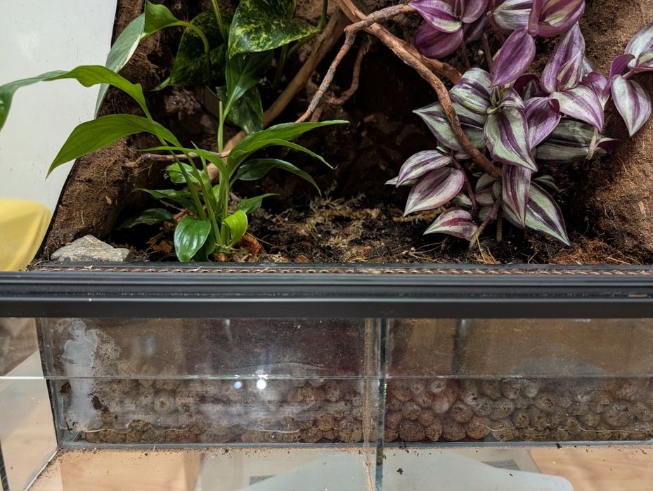 Terraria na zamówienie TERRARIUM Toruń Geckonowe Love Toruń • OLX.pl