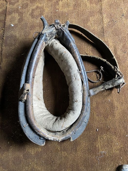 Homonto dla konia Ząbki • OLX.pl