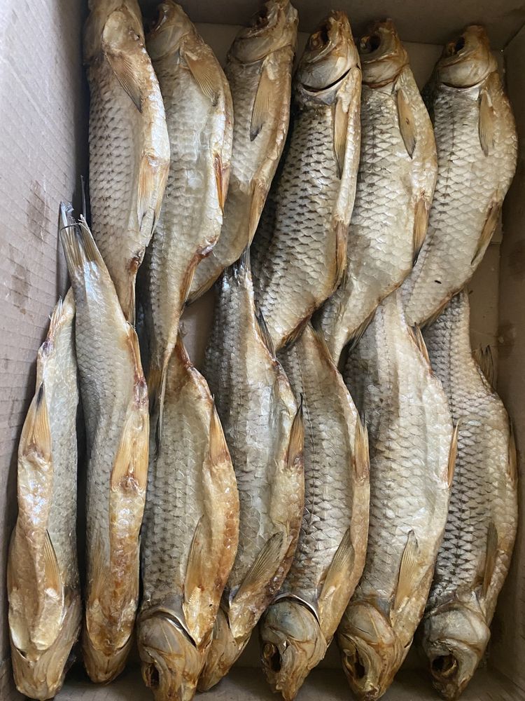 Вобла з ікрою (Преміум якість) - 1 кг: 1 250 грн. - Продукти харчування ...