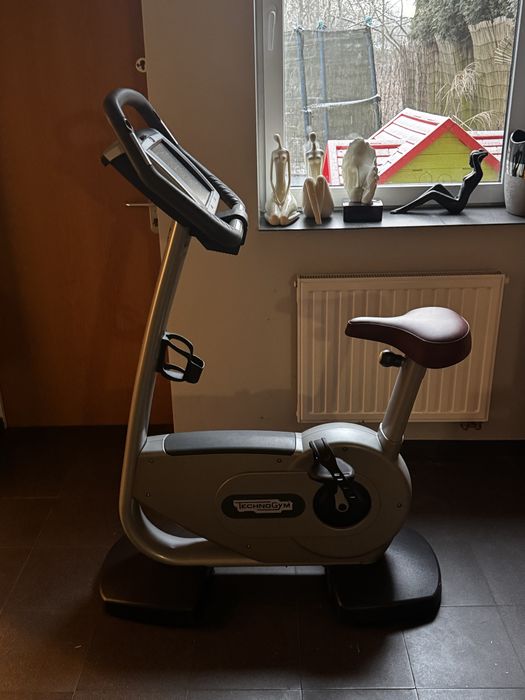 Rower treningowy Technogym Częstochowa Lisiniec • OLX.pl