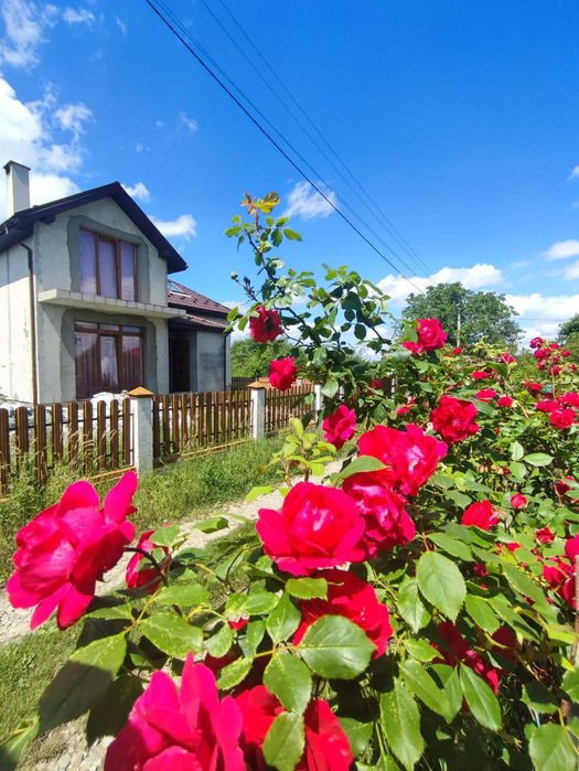 Комфортний енергоефективний котедж в Івано Франківську 105 000 Продаж будинків Івано