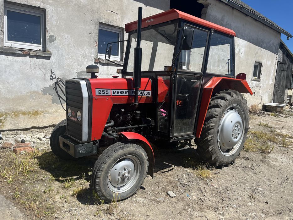 Sprzedam Massey FergusonMF 255 Orliniec • OLX.pl