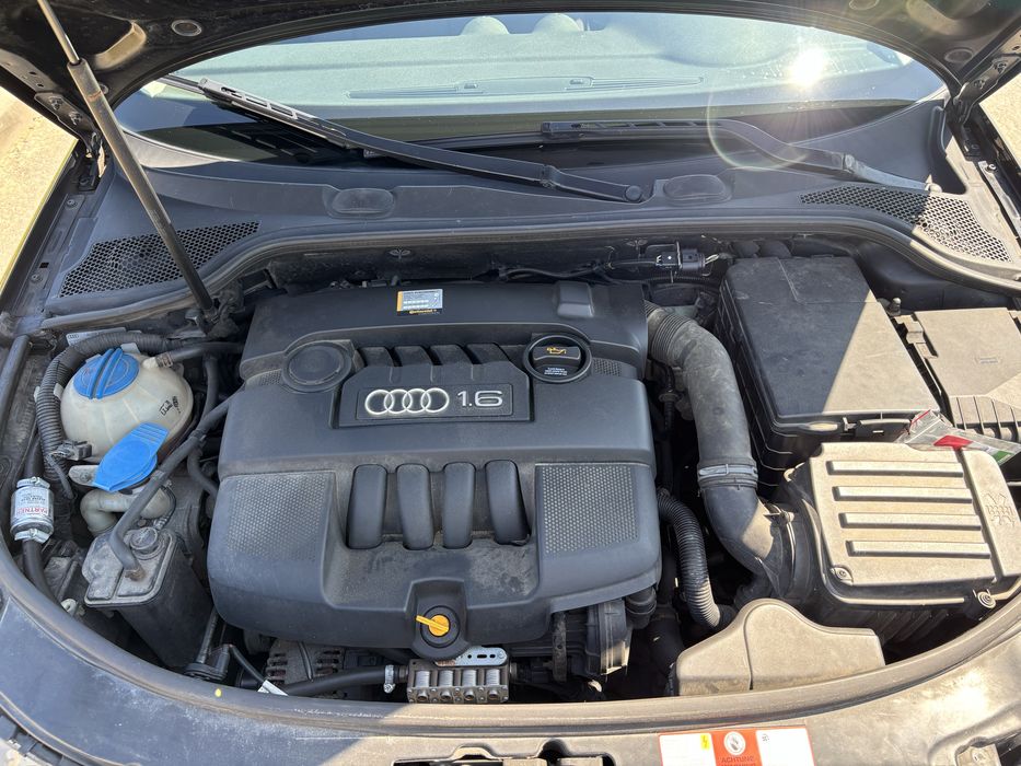Audi A3 1.6 MPI + LPG Gdynia Dąbrowa • OLX.pl