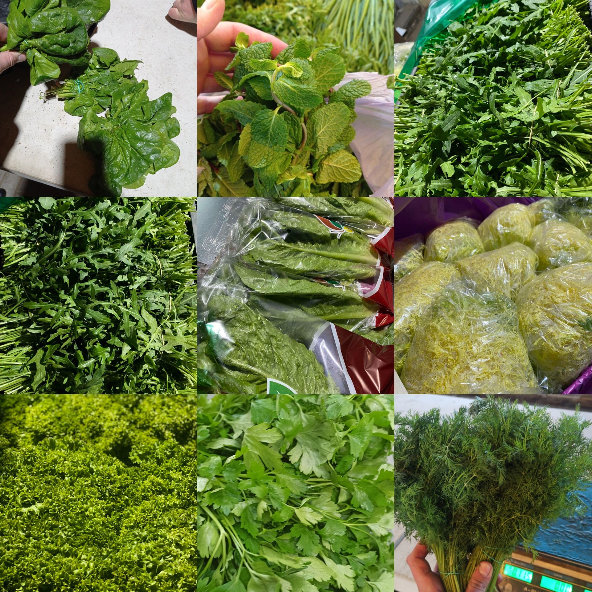 Семена на микрозелень Насіння микрозелень: 13 грн. - Продукти ...