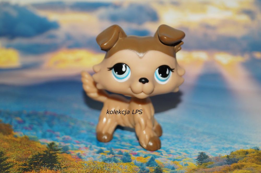 LPS Littlest Pet Shop collie #893 #853 oryginalny oryginał UNIKAT POP ...