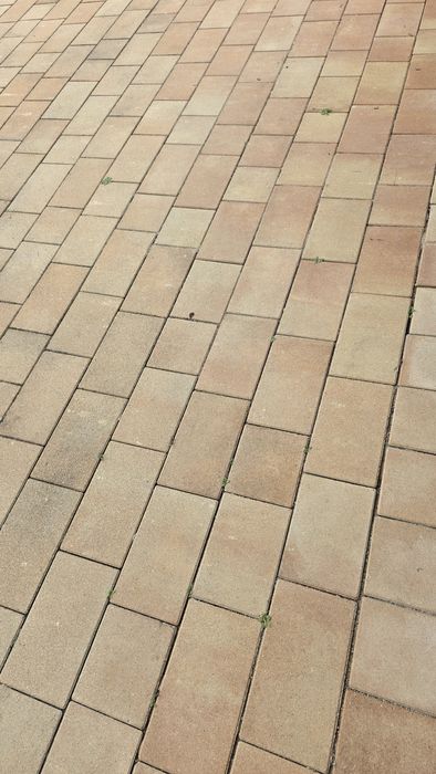 Kostka betonowa gr. 6cm, 29m2 Wilkszyn • OLX.pl