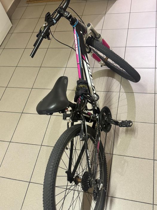 Rower saveno carrera dla dziewczynki różowy czarny Warszawa Białołęka ...