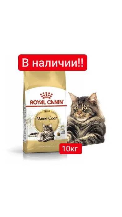 Royal Canin Maine coon adult 10 кг, Mainecoon Мэйн Кун: 3 470 грн ...