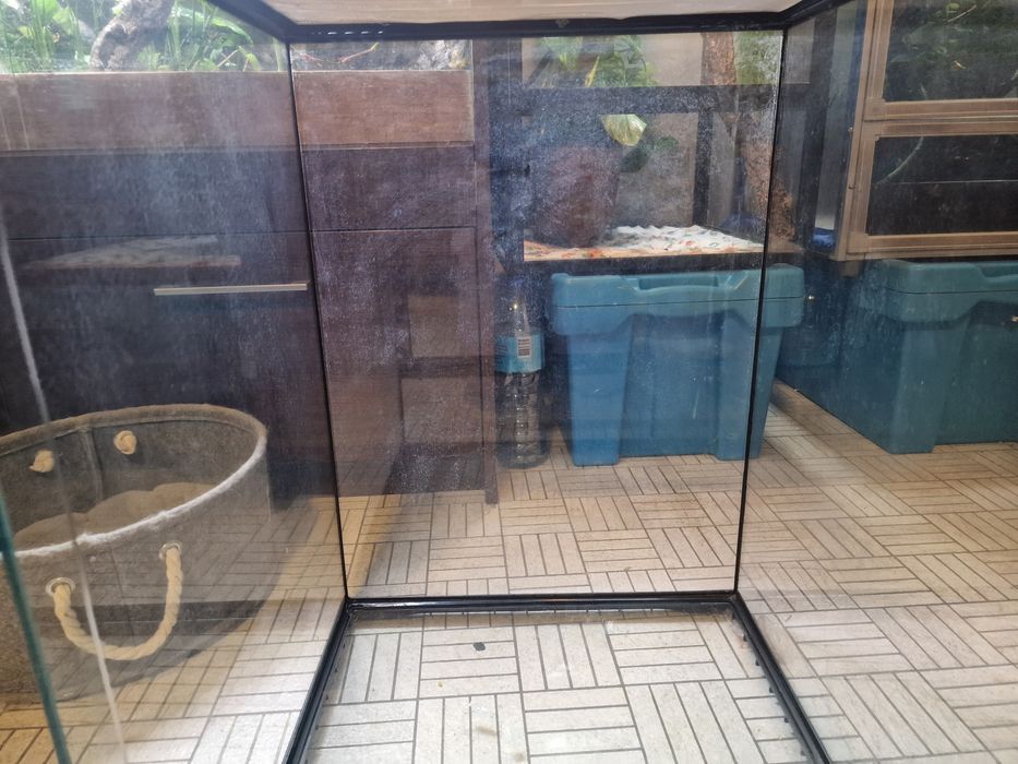 Terrarium Exo Terra 45x45x60 cm Brwinów • OLX.pl