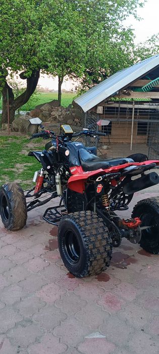 Quad Bashan 250. Kiernozia • OLX.pl