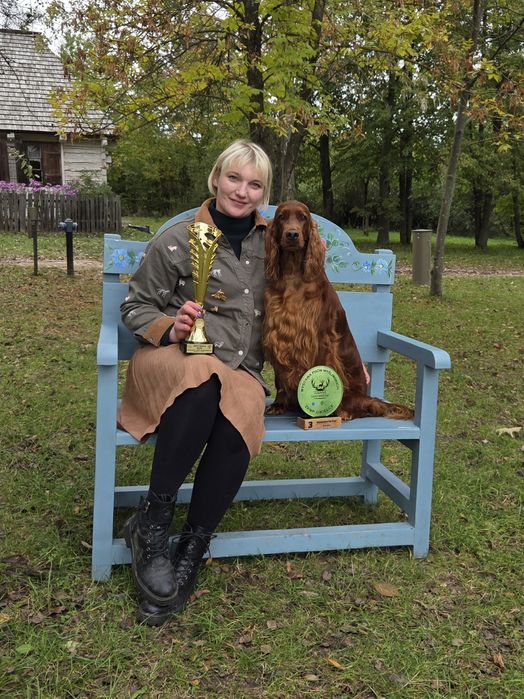 Seter Irlandzki szczenięta Żyrardów • OLX.pl