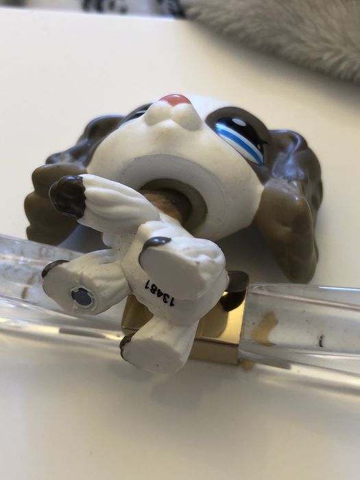 Littlest Pet Shop pies Jamnik #2254 LPS POP Dog Collie Spaniel Warszawa ...