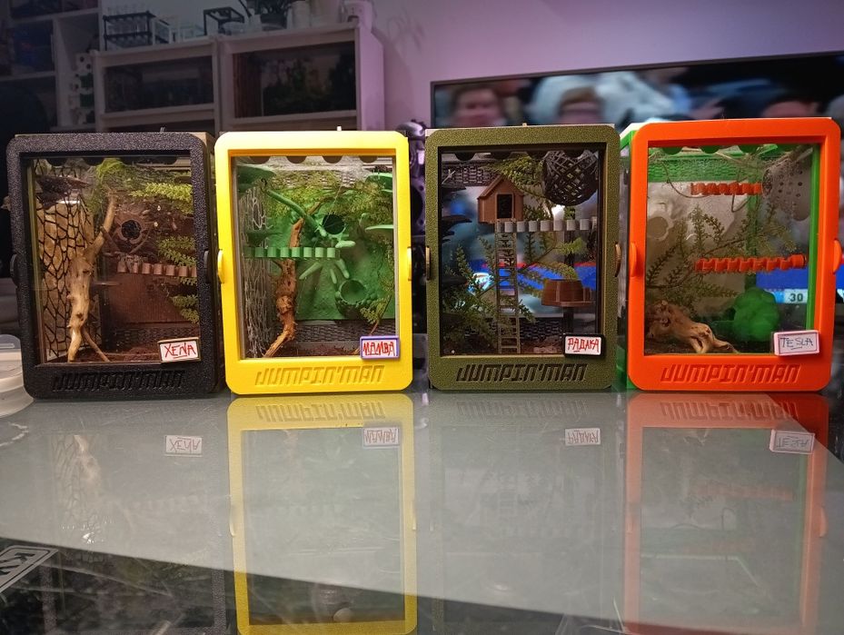 Terraria skakun terrarium i akcesoria skakuny różne kolory i warianty ...