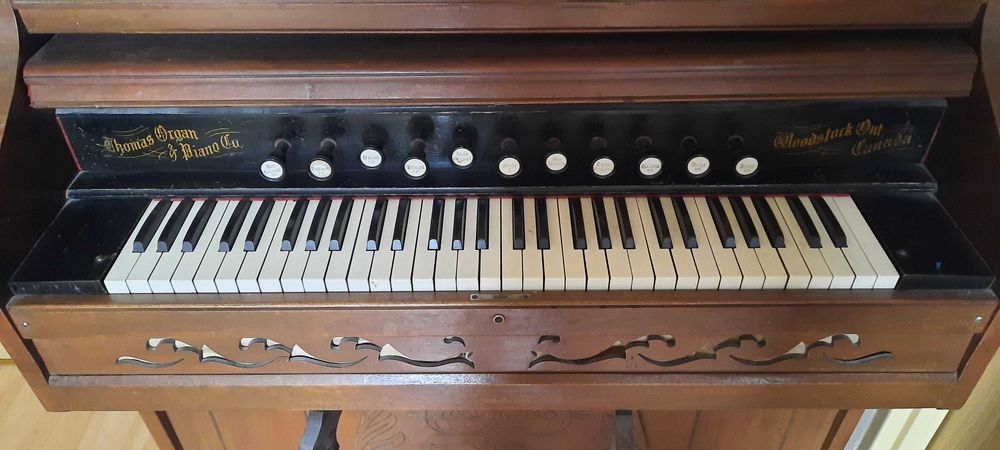 Fisharmonia organy kościelne Thomas Organ & Piano Du Jaworznia • OLX.pl