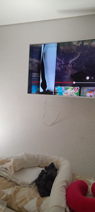 Tv samsung 65 polegadas curva, ecran partido Póvoa De Santo Adrião E Olival Basto • OLX.pt