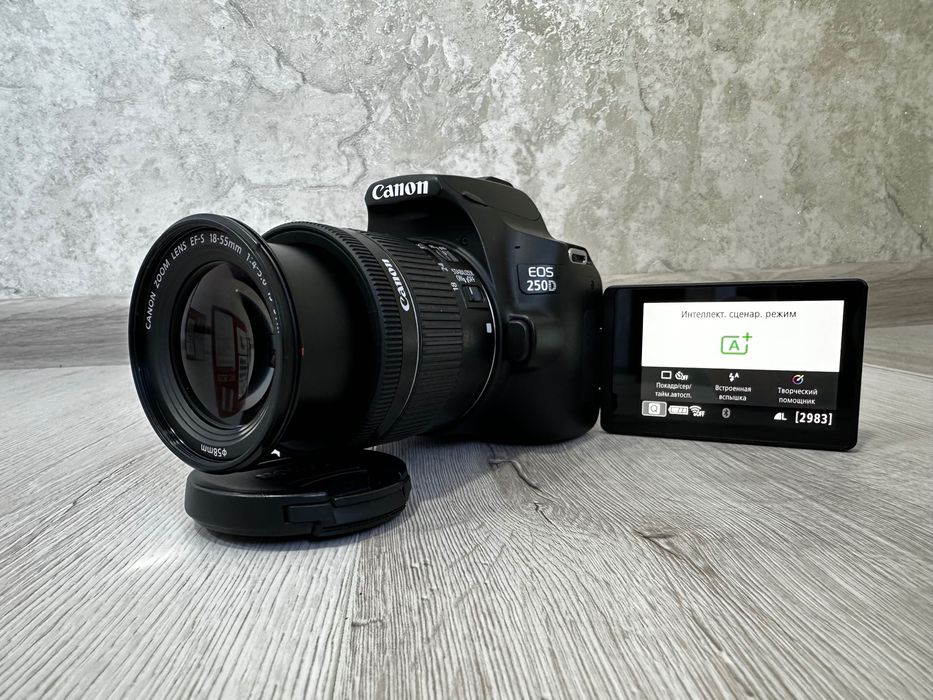 Canon EOS 250D Kit 18-55 IS STM Black + Сумка + Карта памяти (Идеал ...