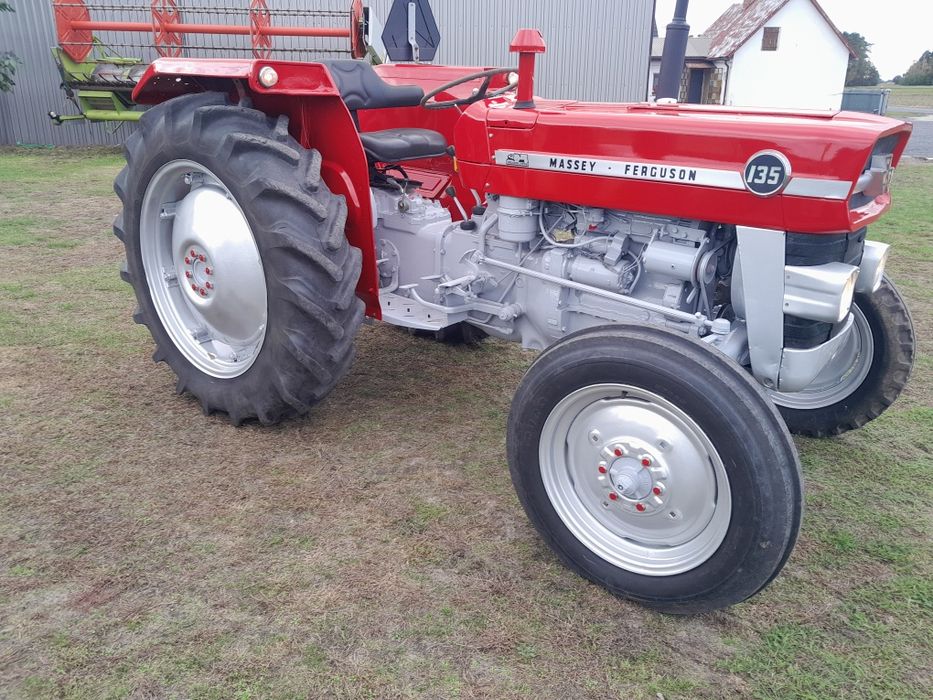 Massey ferguson 135 Kępno • OLX.pl