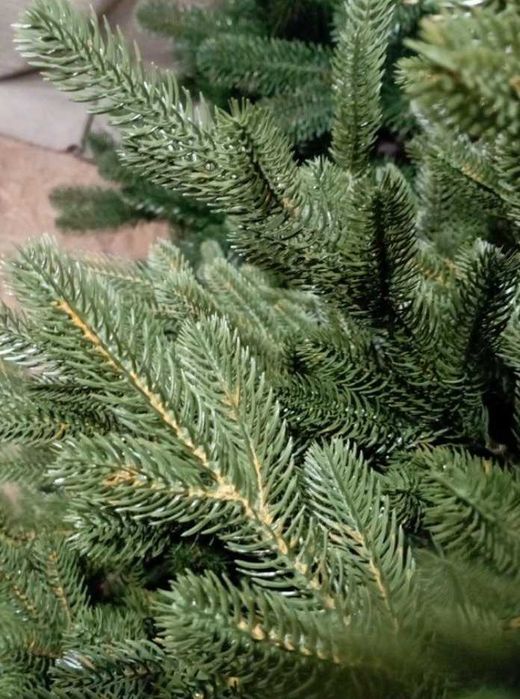 Лита штучна ялинка смерека 160 см литая искусственная елка ель 2 400 грн Інші товари для