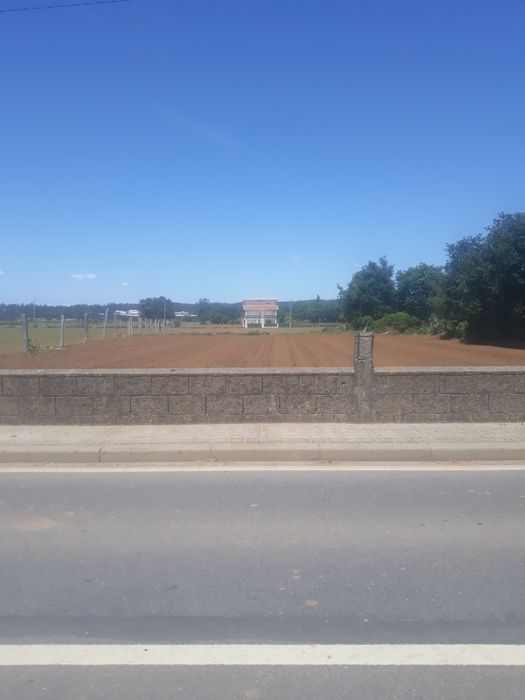 Aluga-se terreno trofa Bougado (São Martinho E Santiago) • OLX Portugal
