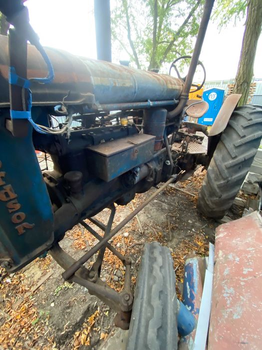 Ciągnik Fordson Major E27N Szczecin Dąbie • OLX.pl