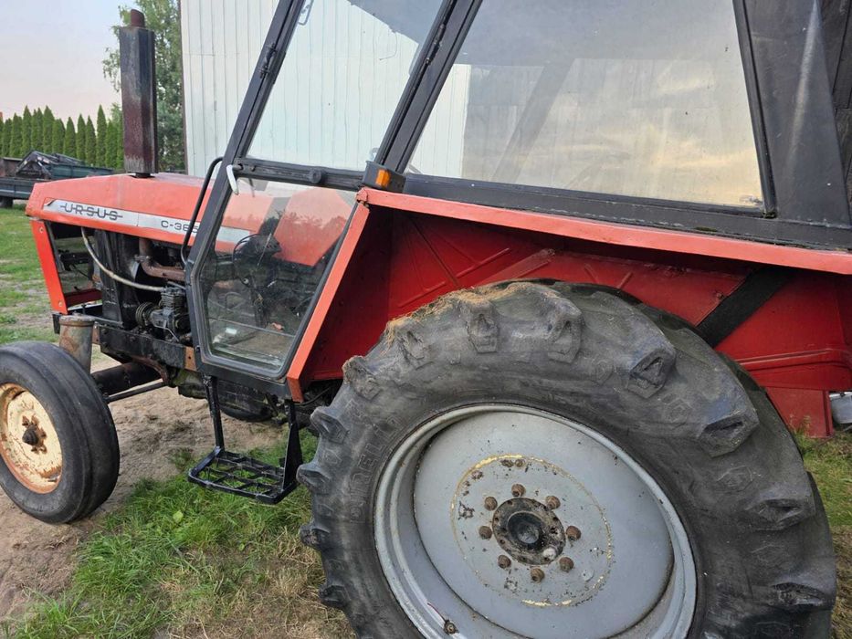SprzedamCiągnik URSUS C385 Ldzań • OLX.pl