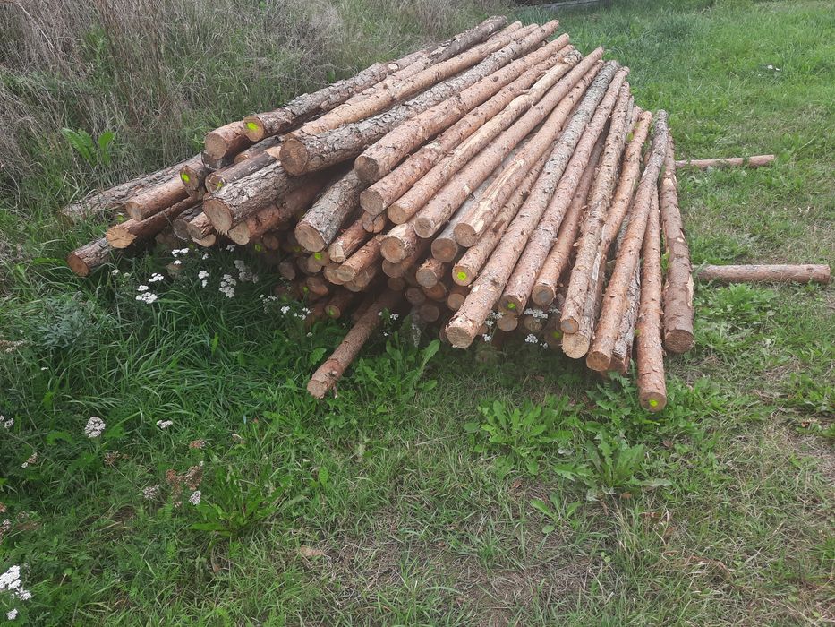 Stemple budowlane Janowiec Kościelny • OLX.pl