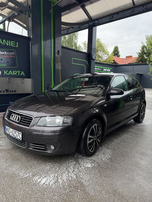 Audi A3 8P 1.9 TDI BKC 105 KM | Po remoncie silnika | Klima | Grzane ...