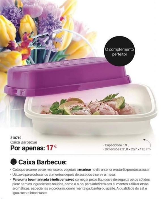 Tupperware caixa barbecue eTerrina Térmica 2,5 L Cidade Da Maia • OLX ...