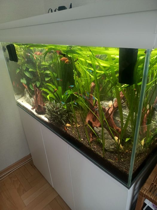 Akwarium 200l plus nawozy testery i dwa małe akwaria Łódź Górna • OLX.pl