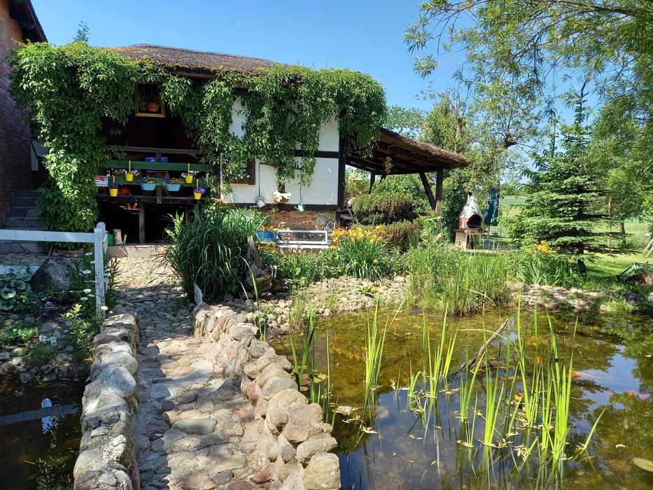 WAKACJE Domek nad jeziorem Ryby Kaszuby Nocleg Urlop Dobra • OLX.pl