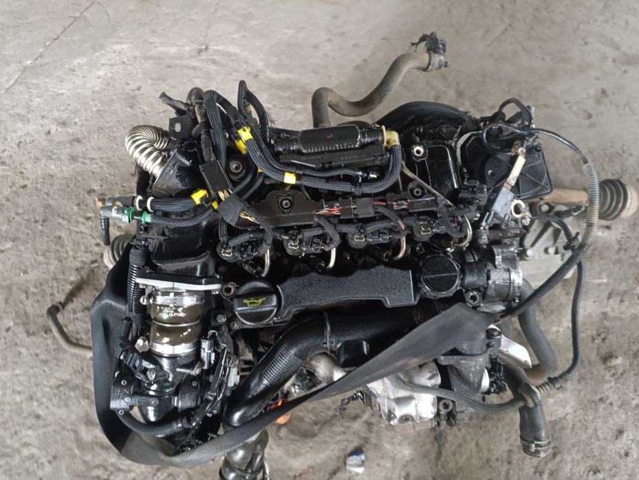 Silnik kompletny citroen peugeot 1.6 HDi dv6ted4 Bydgoszcz • OLX.pl