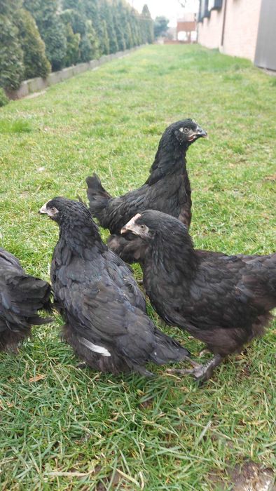 Dla Ciebie wszystko - sprawdź nowe oferty!