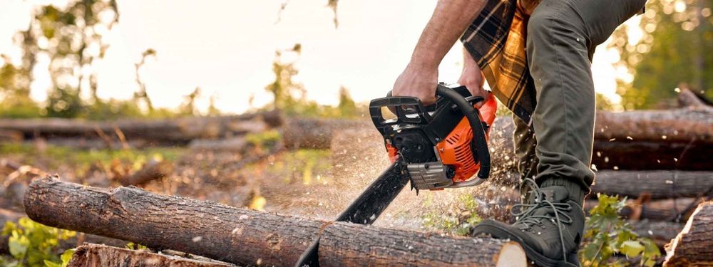 Limpeza de terrenos Gondomar (São Cosme), Valbom E Jovim • OLX.pt