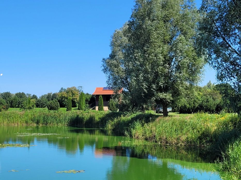 Na sprzedaż: Uroczy domek nad stawem w Tujsku (gm. Stegna) - 1ha Stobiec • OLX.pl