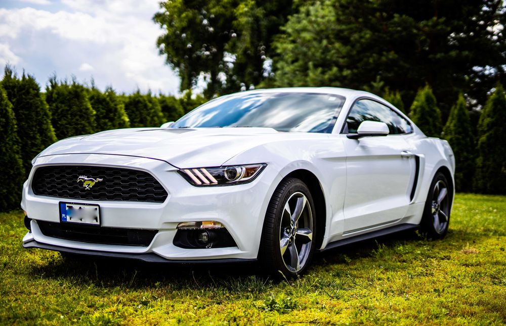 Ford Mustang Mustang 3,7 manual wydech ROUSH. Zamiana Czajków Północny • OLX.pl