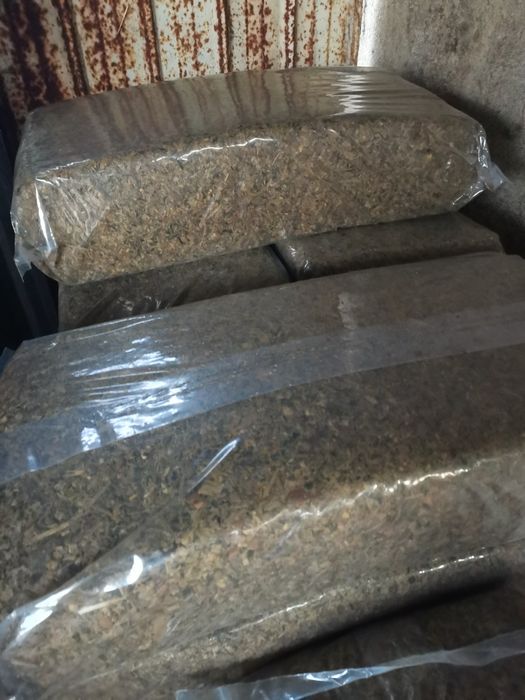 Sacos Silagem 30kg + ou - Trofa, Segadães E Lamas Do Vouga • OLX.pt