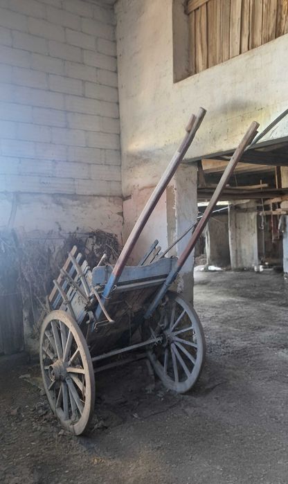 Carroça antiga burro ou cavalo Leiria, Pousos, Barreira E Cortes • OLX.pt