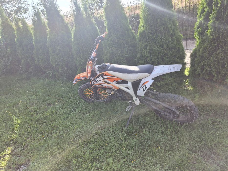 Cross 125 kxd kross Patoki • OLX.pl