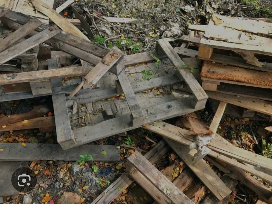 Dou madeira para queimar / lenha Barcelos, Vila Boa E Vila Frescainha (São Martinho E São Pedro ...