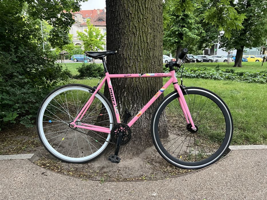 Rower Single Speed / Fixie/ ostre kolo Poznań Wilda • OLX.pl