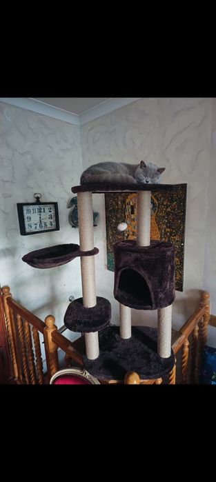 Magic cat amanda drapak dla kota z budka i leżanka brązowy pluszowy ...