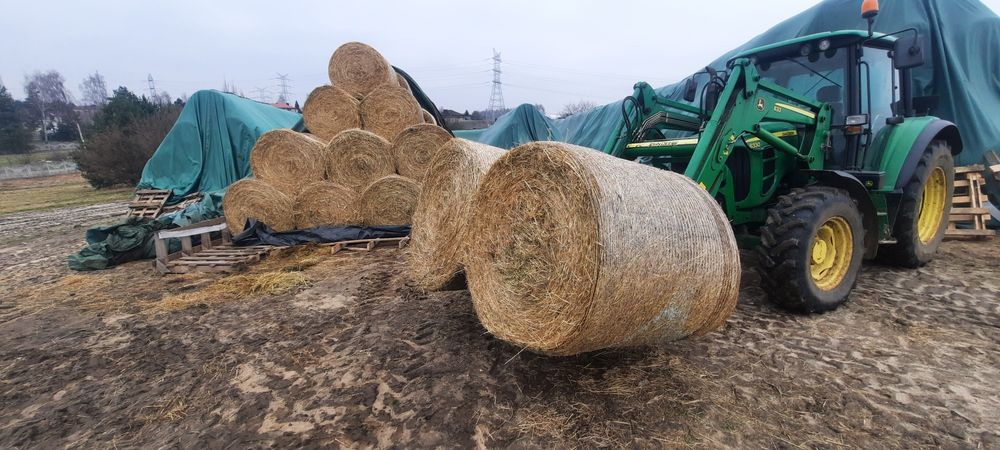 Siano w belach 120x120 / siano wysokiej jakości dla koni bydła / siano ...