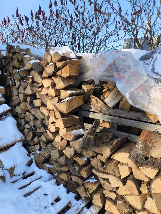 Drewno kominkowe opałowe sosna, dąb,olcha, brzoza,akacja transport ...