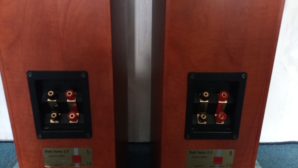 Kolumny głośnikowe Dali Suite 2.5 Bydgoszcz • OLX.pl