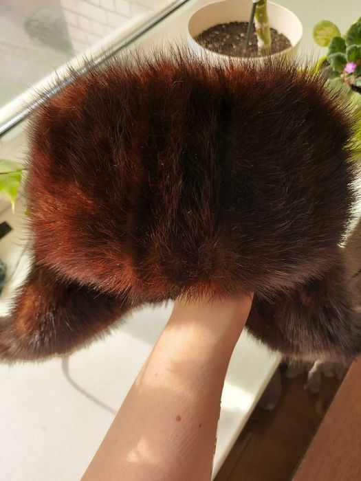 Норкова шапка часів СРСР: 350 грн. - Шапки Вишгород на Olx