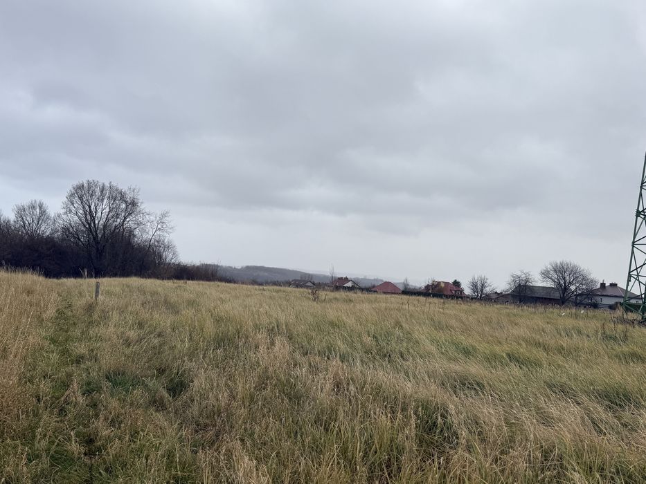 47 arów z potencjałem. Blisko miasta, blisko natury Hermanowa • OLX.pl