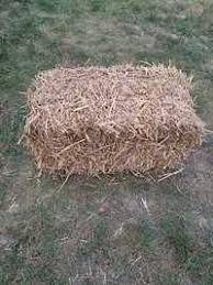 Kostka slomy duza sucha Koziarnia • OLX.pl