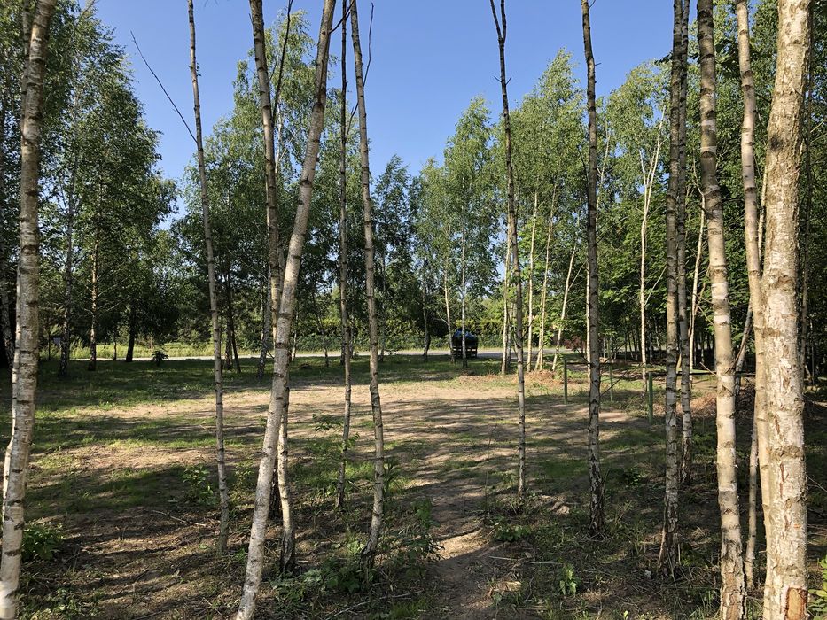 Dzialka 3000m2 , las, jezioro , Lubówiec • OLX.pl