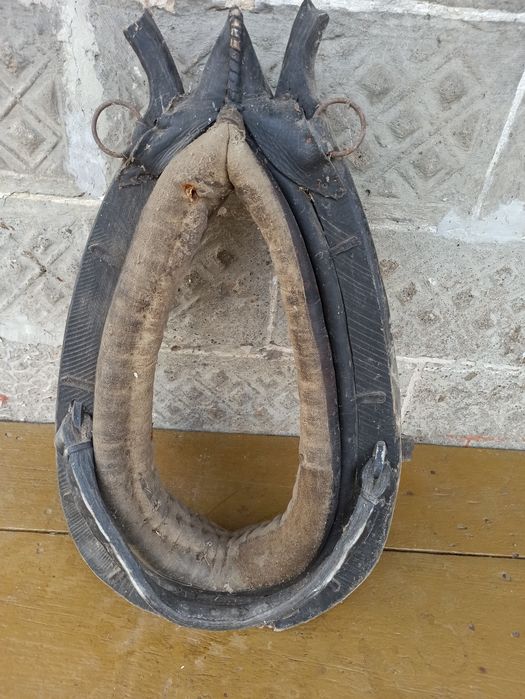 Homonto Dla Konia - OLX.pl