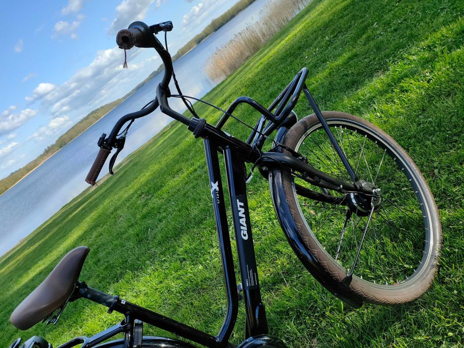 rower-elektryczny-giant-triple-x-2021r-czarny-okazja-go-dap-olx-pl